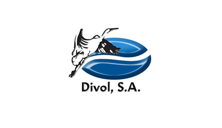 DIVOL - Al Tiro - Marketing Digital para empresas